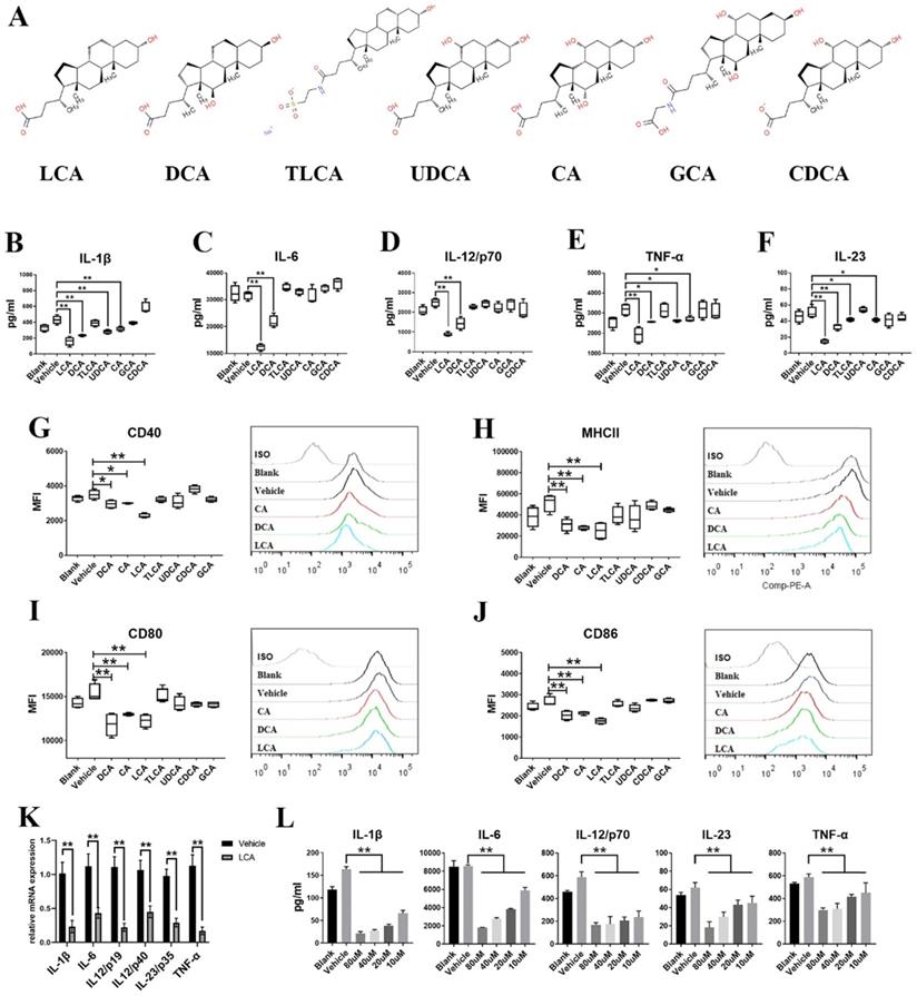 Lithocholic acid inhibits dendritic cell activation by reducing ...
