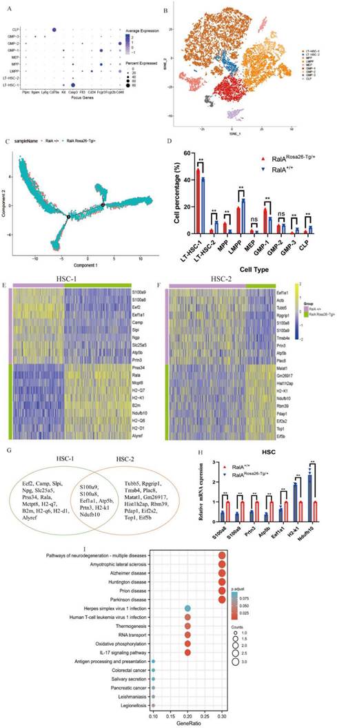 Single-cell resolution reveals RalA GTPase expanding hematopoietic stem ...