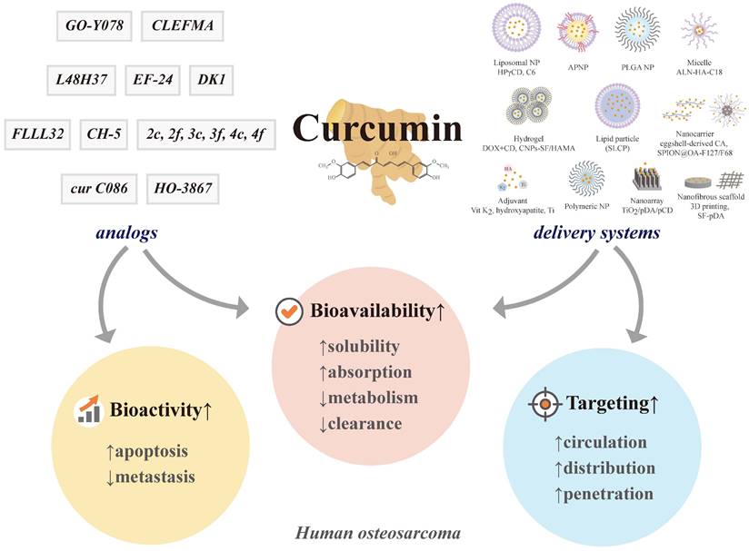 Curcumin and its Analogs and Carriers: Potential Therapeutic Strategies ...