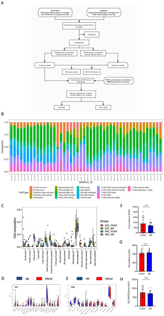 Colchicine attenuates the electrical remodeling of post-operative ...