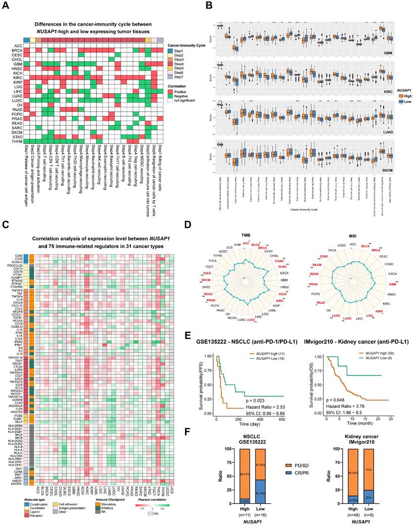 Comprehensive pan-cancer analysis reveals NUSAP1 is a novel predictive biomarker for prognosis ...