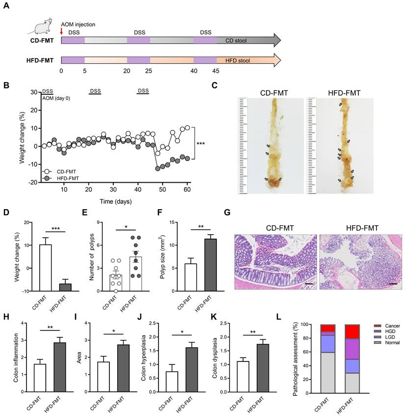 High-fat diet promotes colitis-associated tumorigenesis by altering gut ...