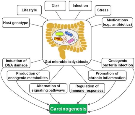 The Effects and Mechanisms of Flavonoids on Cancer Prevention and ...