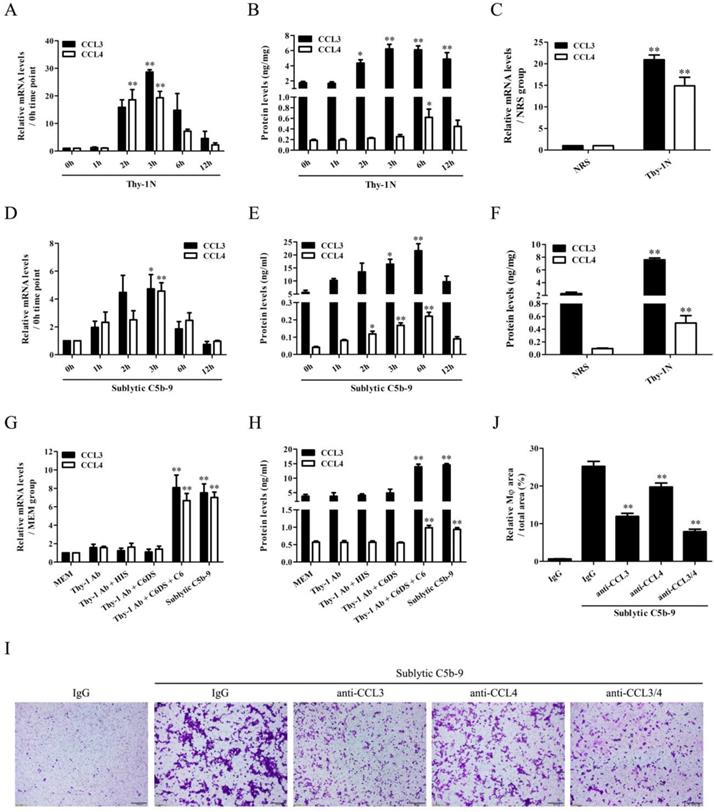 Sublytic C5b-9 Induces CCL3/4 Production and Macrophage Accumulation in ...