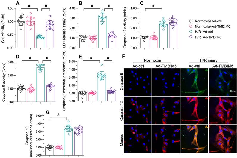 Transmembrane BAX inhibitor motif containing 6 suppresses presenilin-2 ...