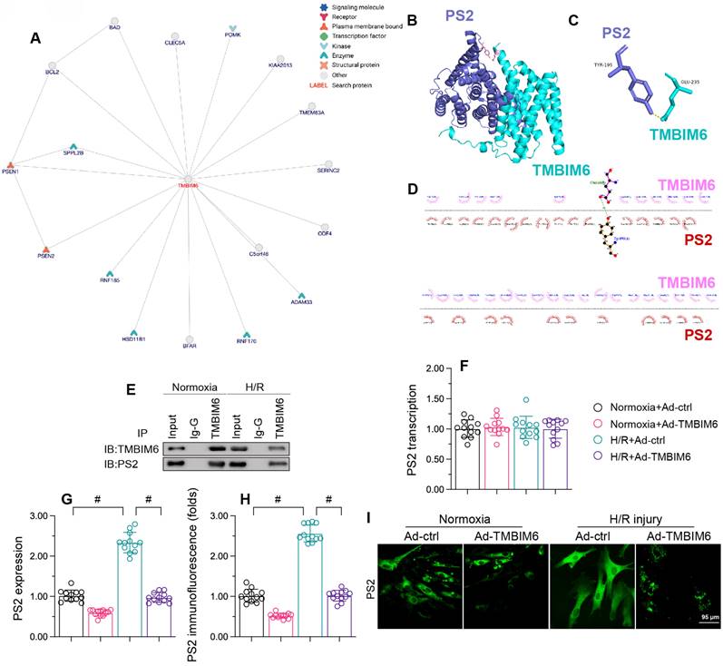 Transmembrane BAX inhibitor motif containing 6 suppresses presenilin-2 ...