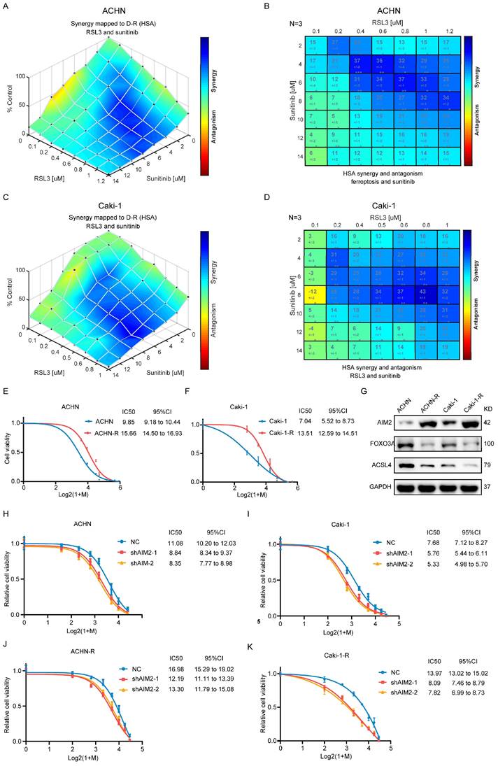 AIM2 promotes renal cell carcinoma progression and sunitinib resistance ...