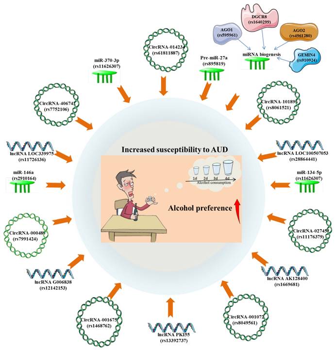 Functional roles, regulatory mechanisms and theranostics applications ...