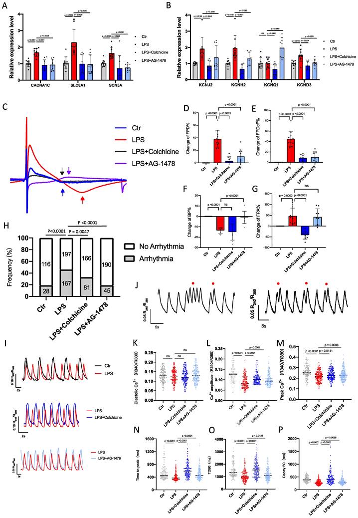 Colchicine attenuates the electrical remodeling of post-operative ...
